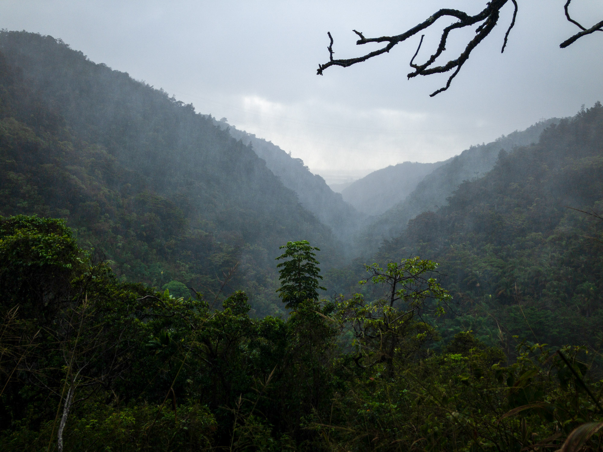 KALAUAO FALLS via AIEA LOOP TRAIL