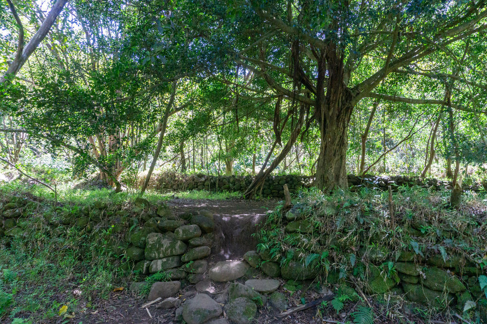 Makamaka'ole Stream (13 Crossings) Hike--Maui
