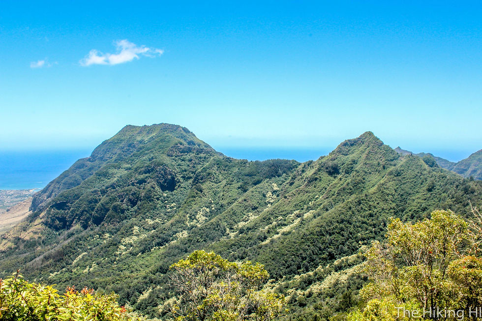 MOUNT KA'ALA: THE HIGHEST PEAK ON OAHU