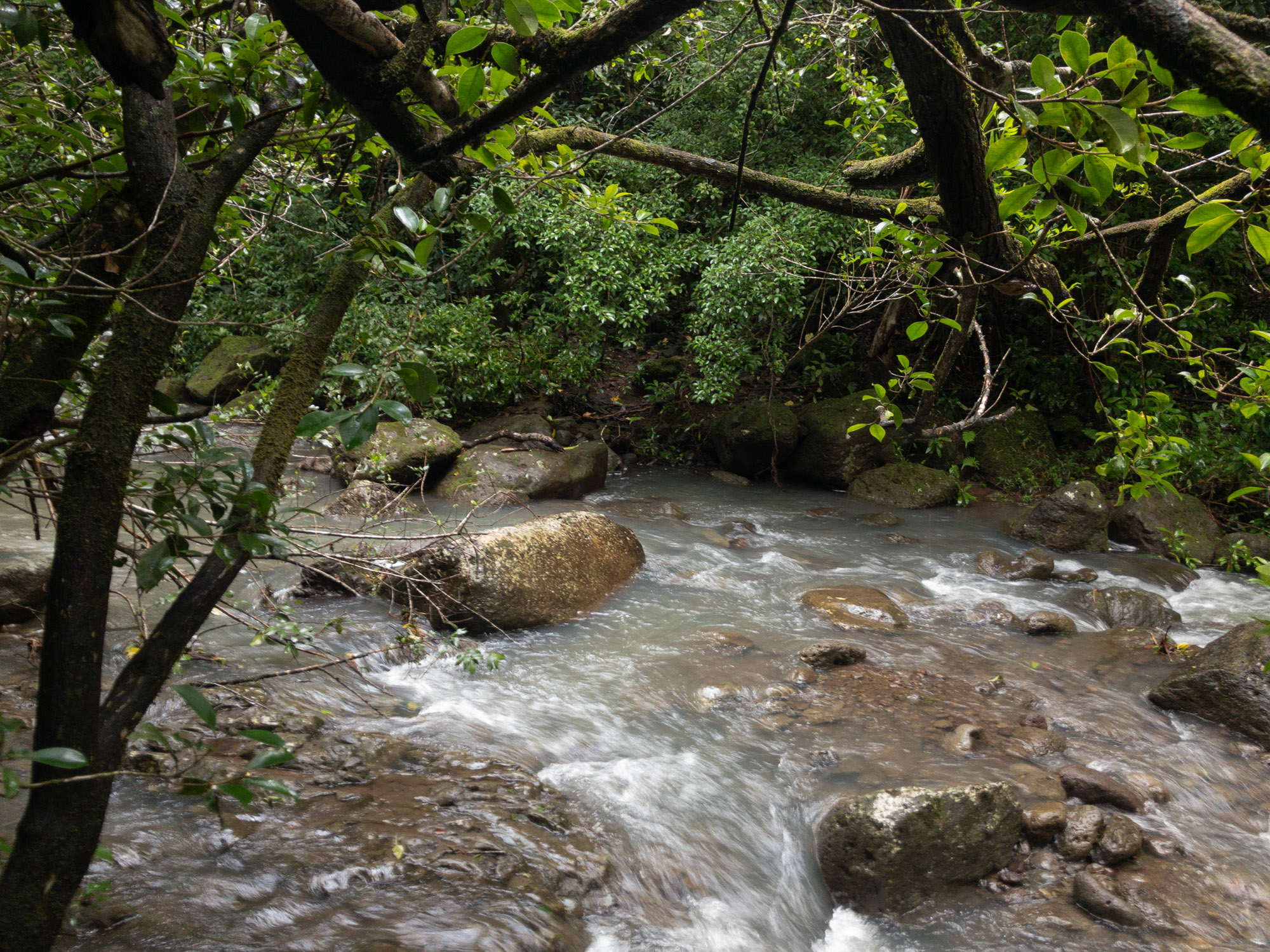 KALAUAO FALLS via AIEA LOOP TRAIL