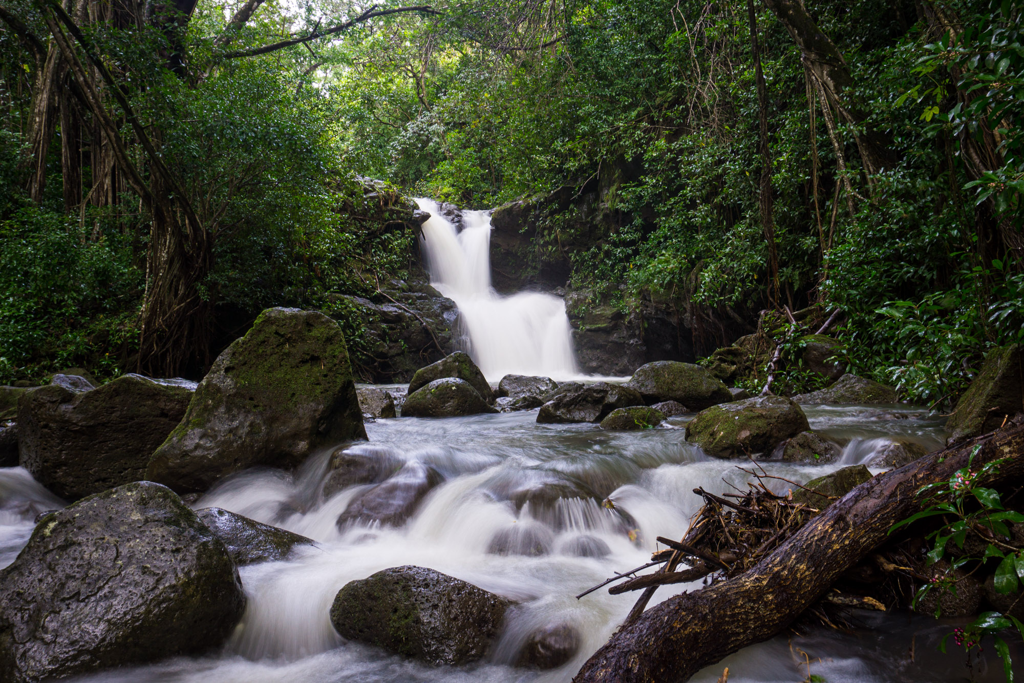 KALAUAO FALLS via AIEA LOOP TRAIL