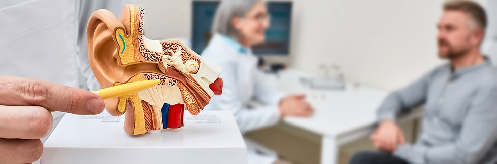 Understanding Hearing Loss | Dallas ENT Group | Ear Care in Dallas, TX