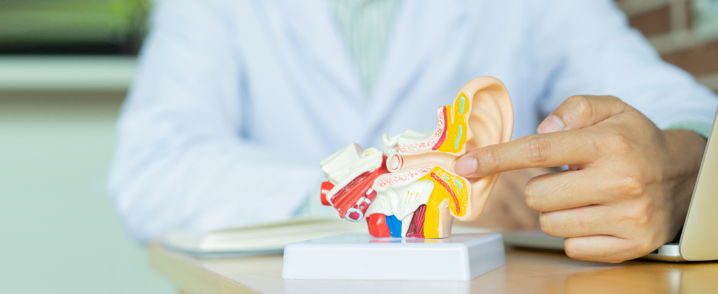 Perforated Eardrum Treatment in Dallas, TX | Dallas ENT Group