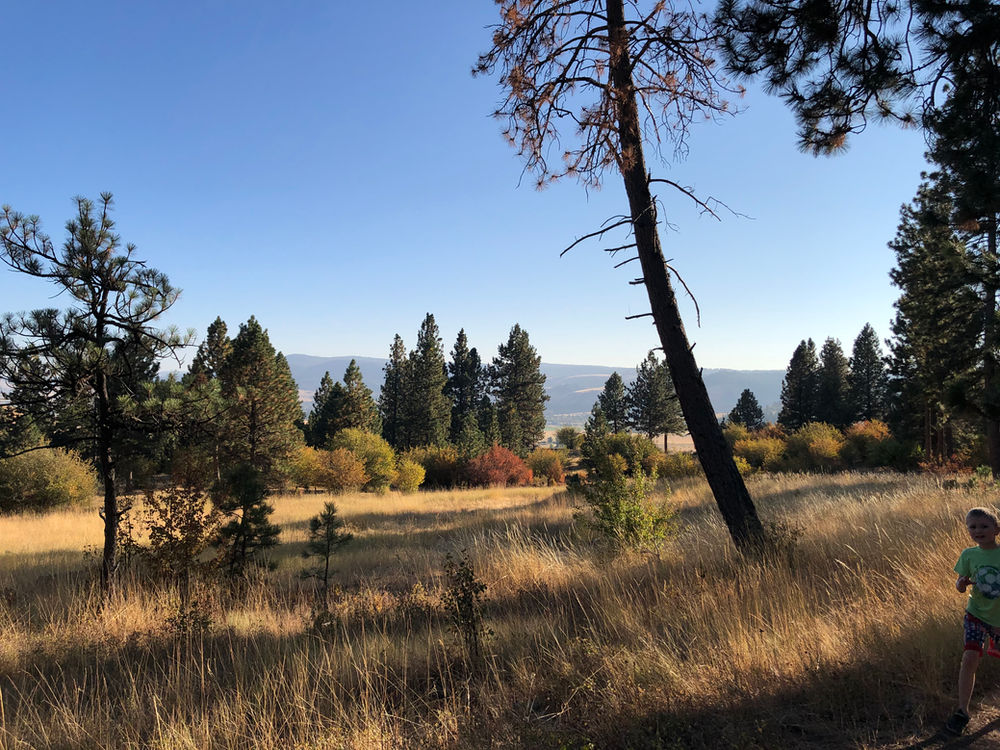 Mount Emily Recreation Area