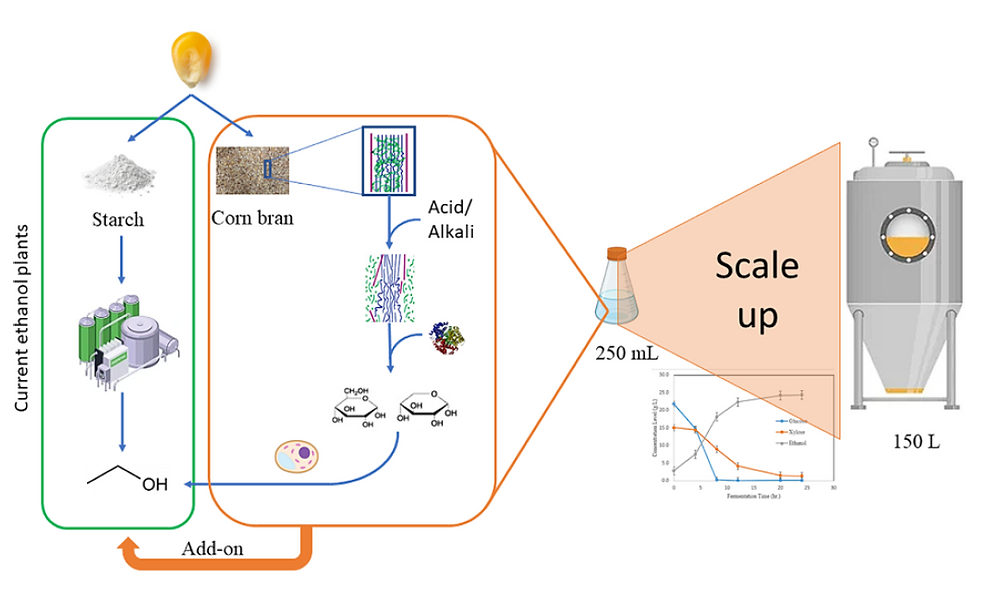Large-scale Corn Fiber to Ethanol Process published on Bioresource ...