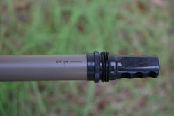 SENTINEL Rifle _ S.W.S. KMW