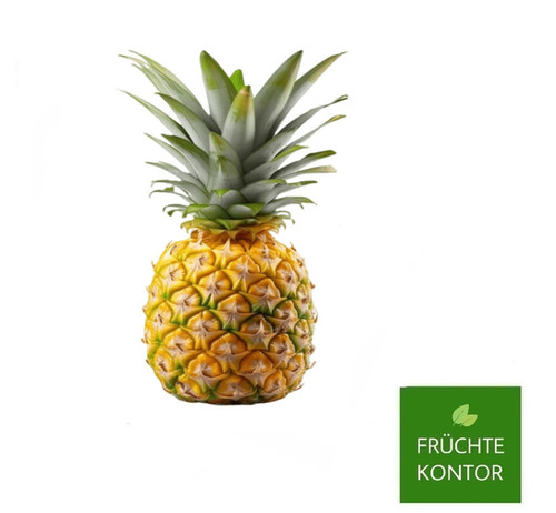 Mini Ananas direkt vom Früchte-Kontor Deutschland kaufen