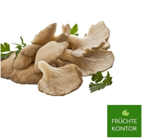 Austernpilze vom Früchte-Kontor Deutschland online kaufen