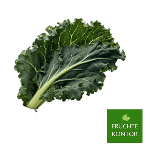 Schwarzkohl Cavalo Nero 1kg erntefrisch kaufen | Früchte-Kontor