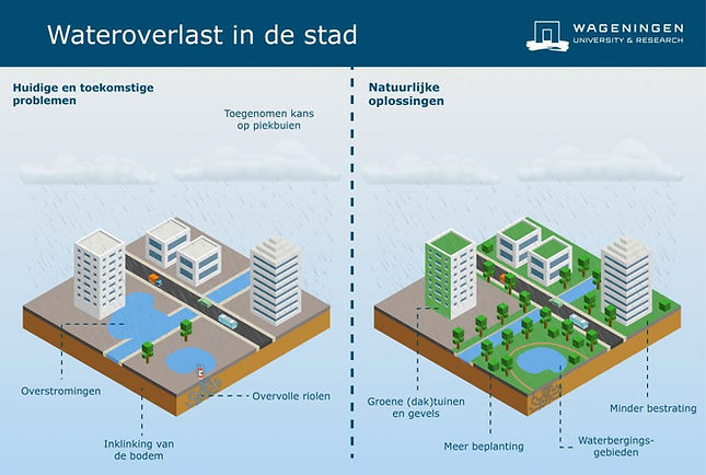 §6 Leertekst | Klimaatadaptatie