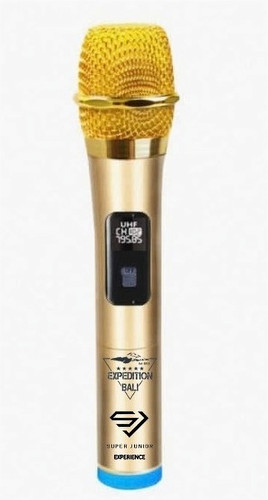 Super Junior Experience Microphone | Expedition Bali Tours
