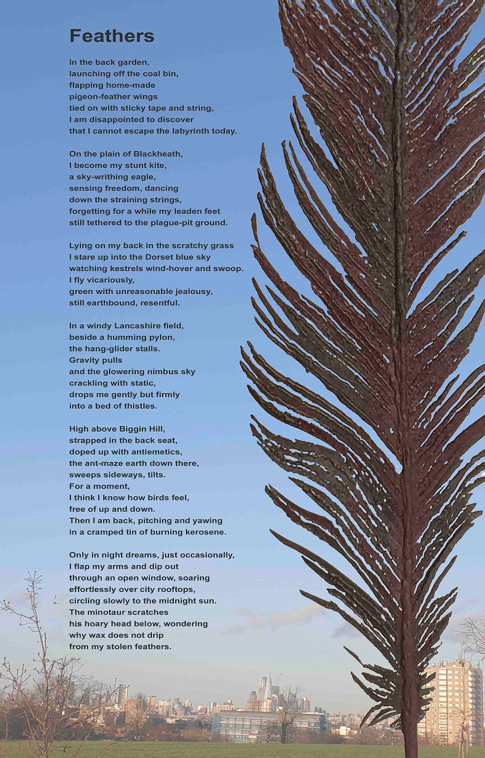 Poem: Feathers | My Site 9786