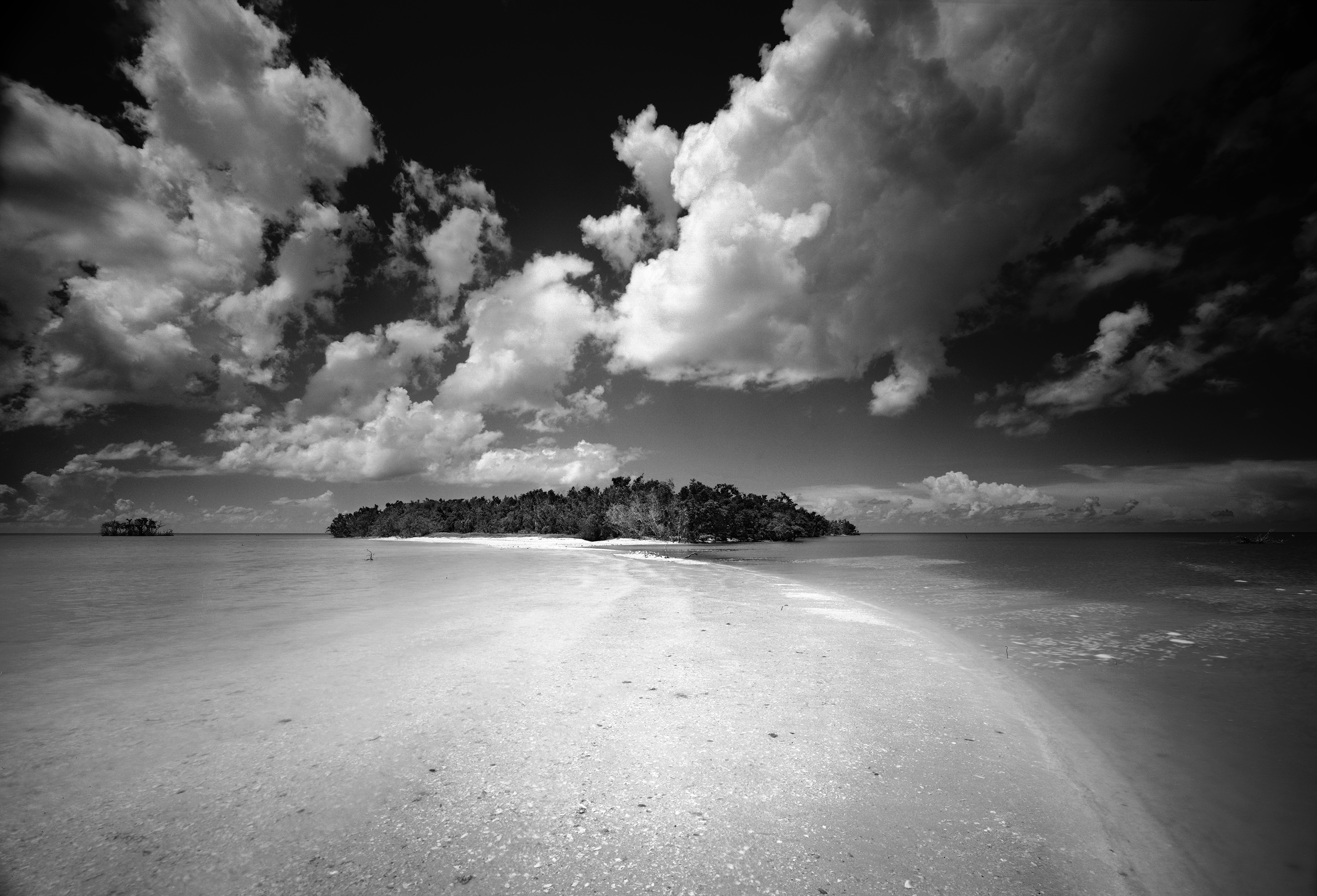 Black & White Photography | Marc Damon Photography | United States