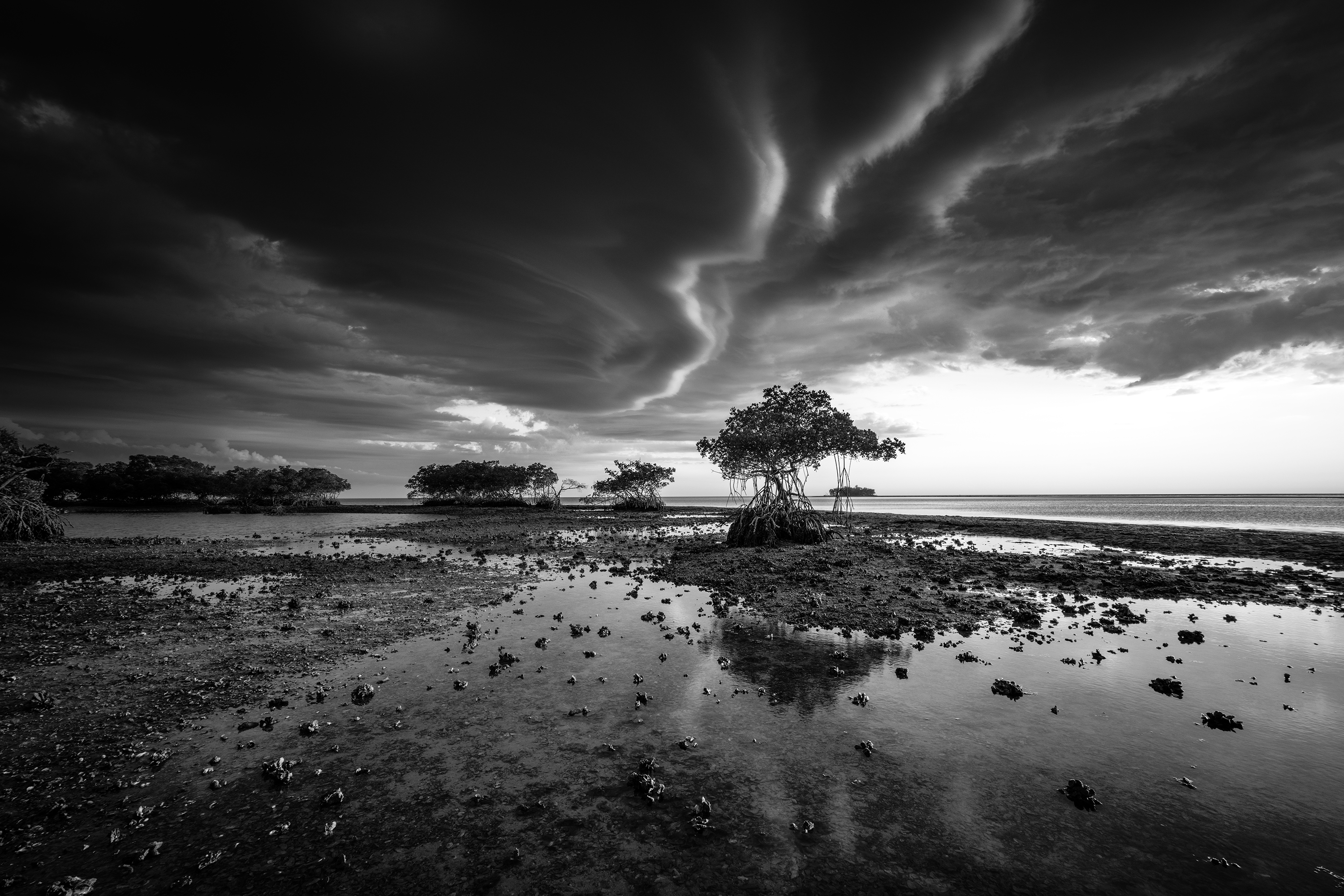 Black & White Photography | Marc Damon Photography | United States