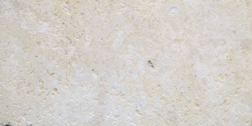 Coral Stone | Marmol Export