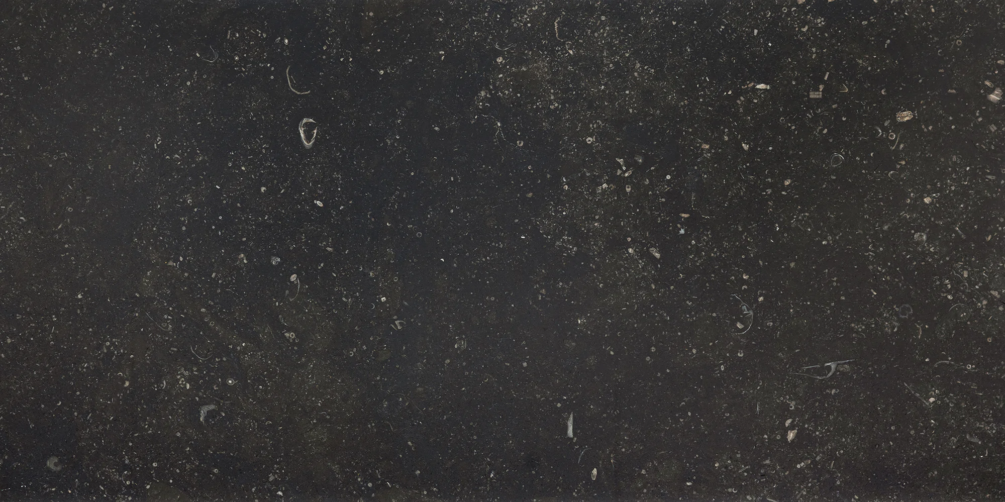 Limestones | Marmol Export