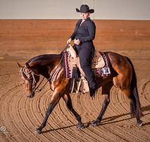 Blackfroestranch Team