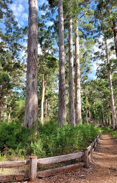 Rising to the occasion - a Cyclone Alby story