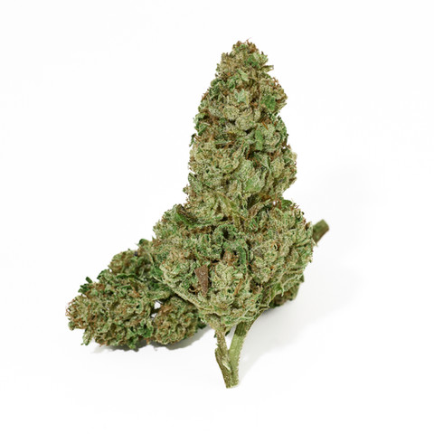 Hooch | Alchemy Pure