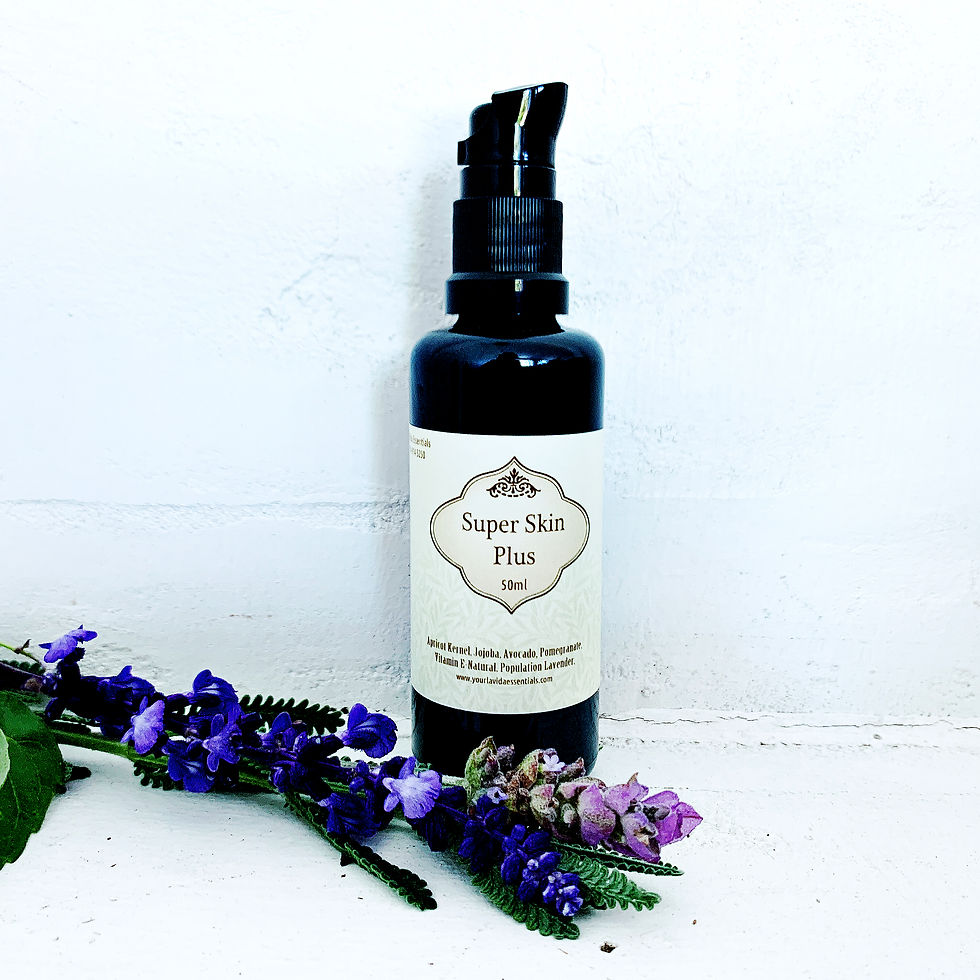 La Vida Small Batch | La Vida Essentials | United States