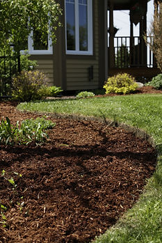 Wholesale Horticultural Products | Valfei