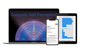 energetic self perception