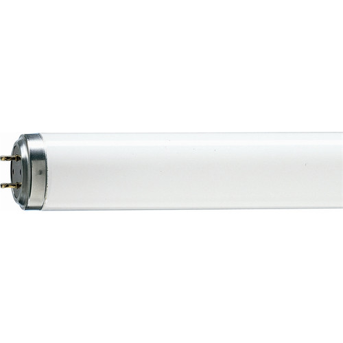 Fluorescent Lamp | DMLorenzo