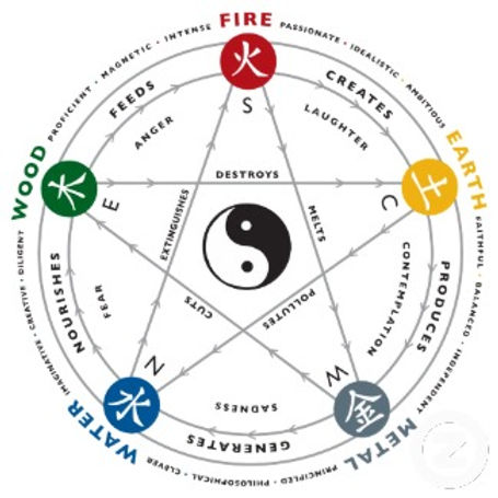 The Stomach Pathway - Part I