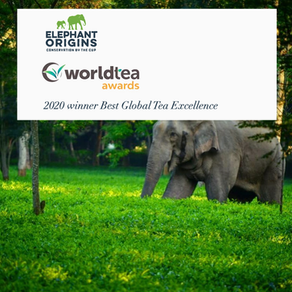 Elephant Origins Tea | Certified Elephant Friendly Tea | United States