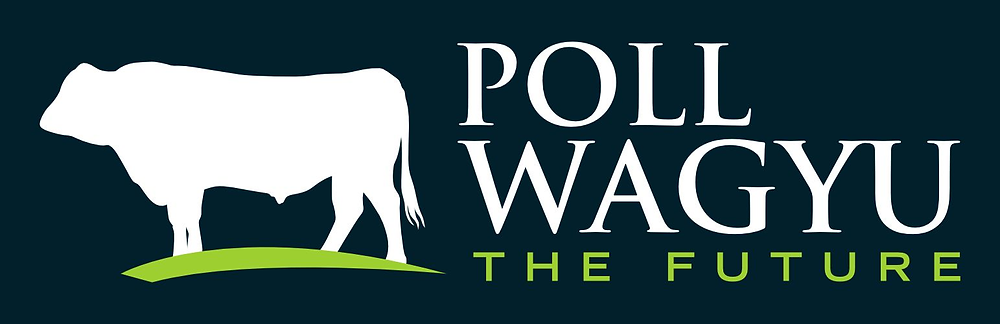 Poll Wagyu Evolution Sale 2025: Proven Genetics, Backed by Carcass Data