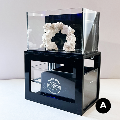 Microscapes for the Micro Reef-Ready Tank | Pnwcustom