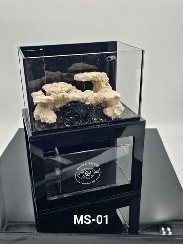 Microscapes for the Micro Reef-Ready Tank | Pnwcustom
