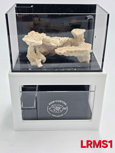 Cycled "Live Rock" Scape | Pnwcustom