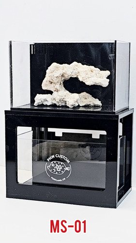 Microscapes for the Micro Reef-Ready Tank | Pnwcustom