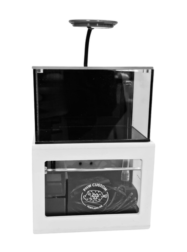 Micro Reef-Ready Tank | 40oz Desktop Aquarium | Pnwcustom