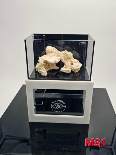 Microscapes for the Micro Reef-Ready Tank | Pnwcustom