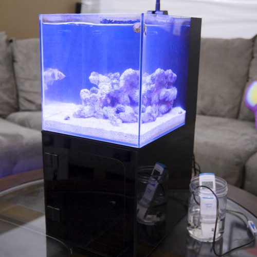 Small-In-One XL | 5 Gallon Stand | PNW Custom