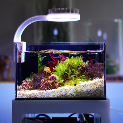 Micro Tank | Pnwcustom