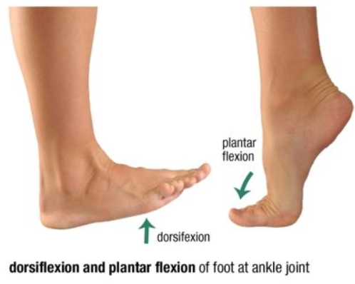 Glide: Move Like a Pro