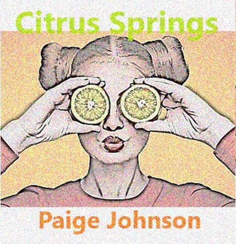 Citrus Springs by Paige Johnson - Poetry eBook | Outcast press