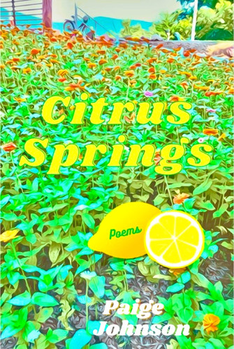 Citrus Springs by Paige Johnson - Illustrated Poetry | Outcast press
