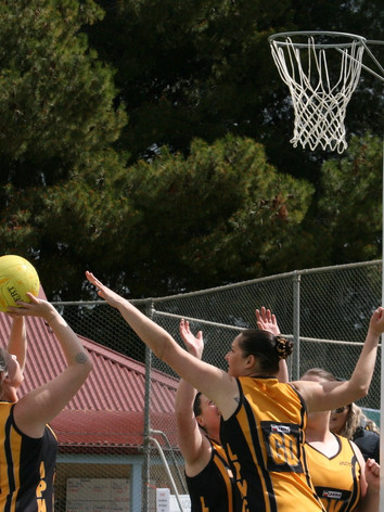 Club News | Long Plains Netball Club - Adelaide Plains Netball Association