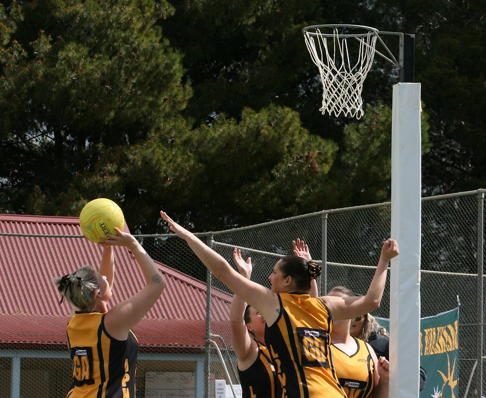 Gallery | Long Plains Netball Club - Adelaide Plains Netball Association