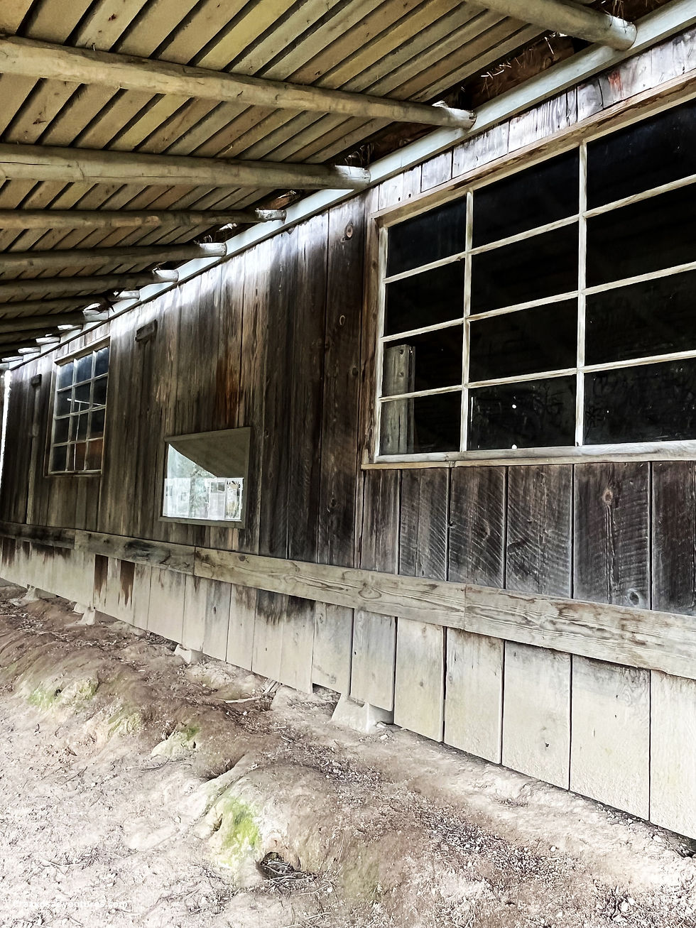 Exploring the History of Buncom, Oregon: A Journey Through the Ghost Town