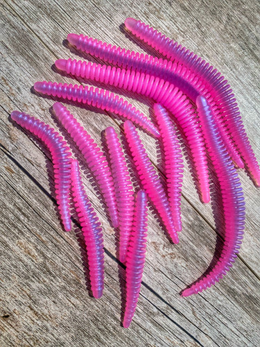 3.5” or 6” Ring Worms - Morning Dawn | Ramsey Baits