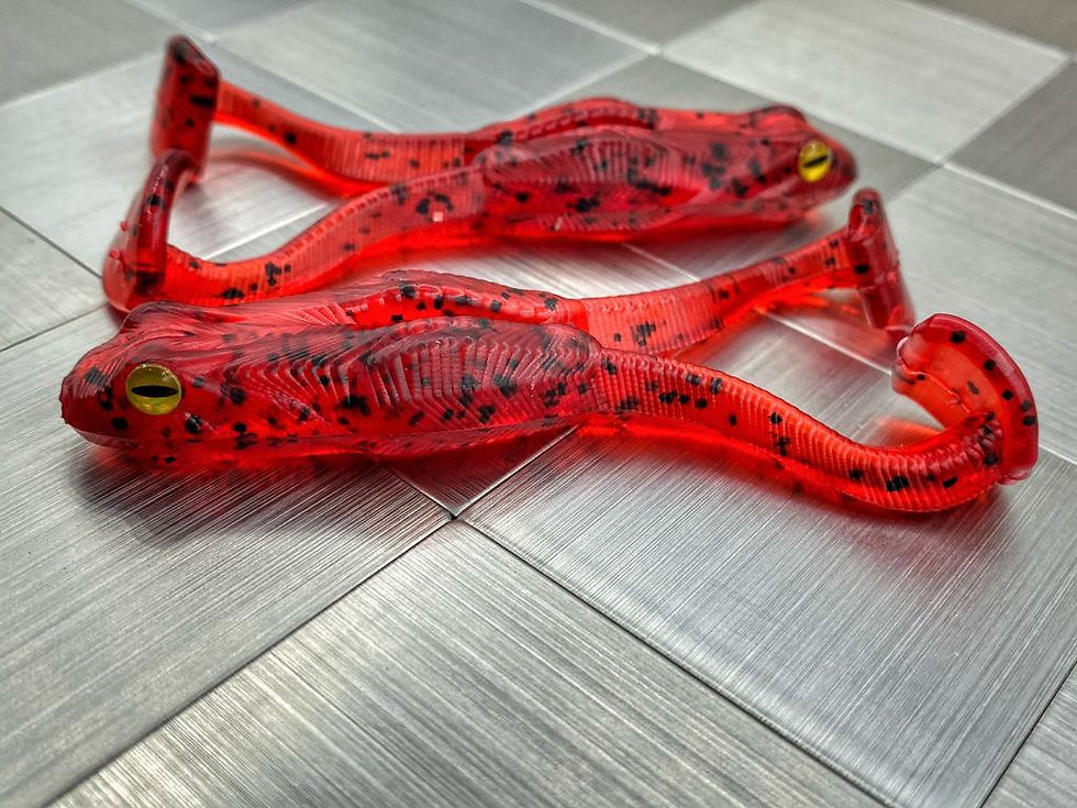 FROGS & TOADS | Ramsey Baits