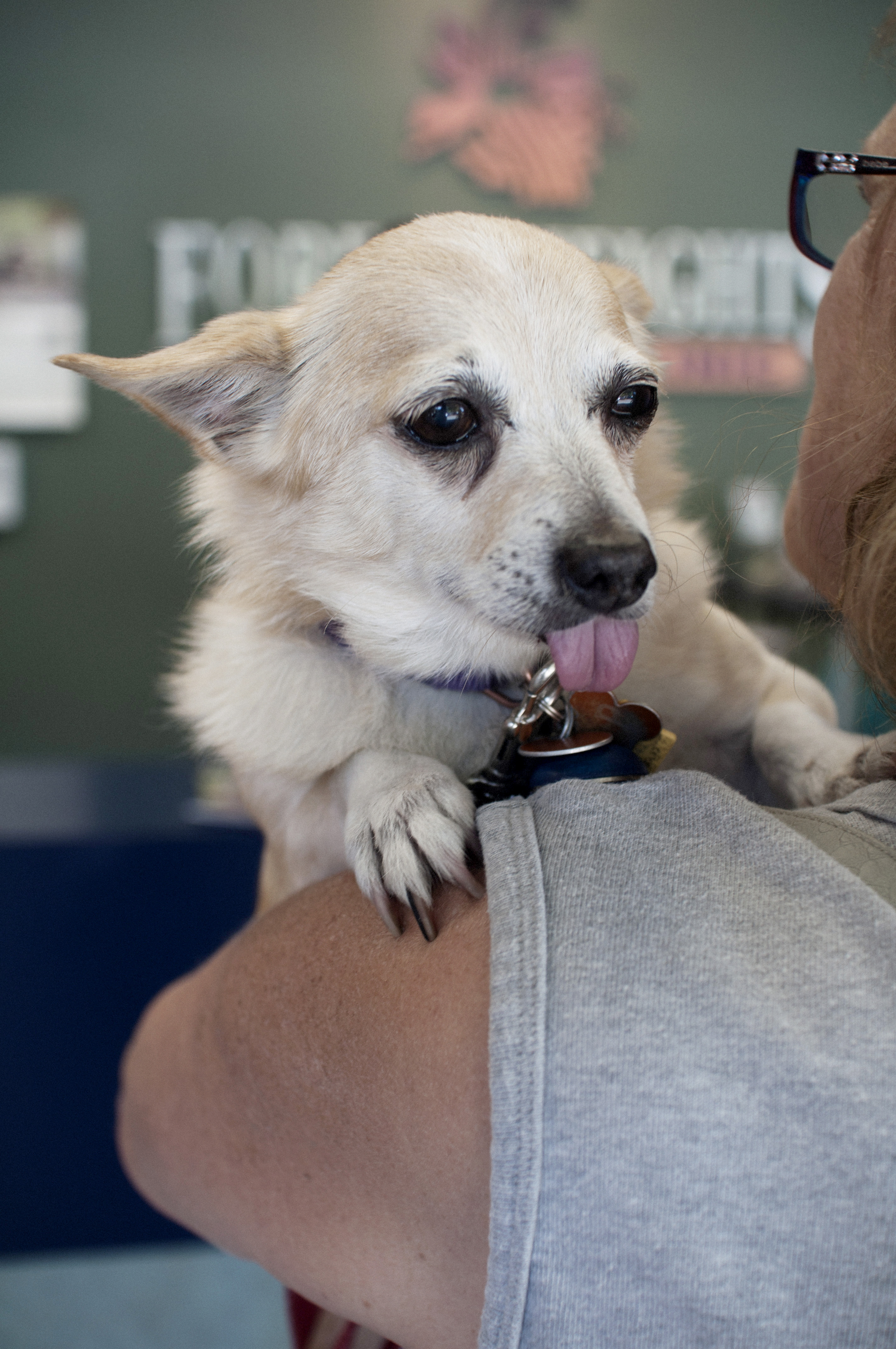 Forest Heights Veterinary Clinic | NW Portland, Oregon