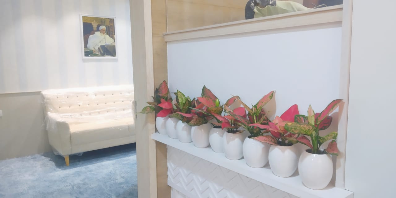 Green up your Home | PlantScape India