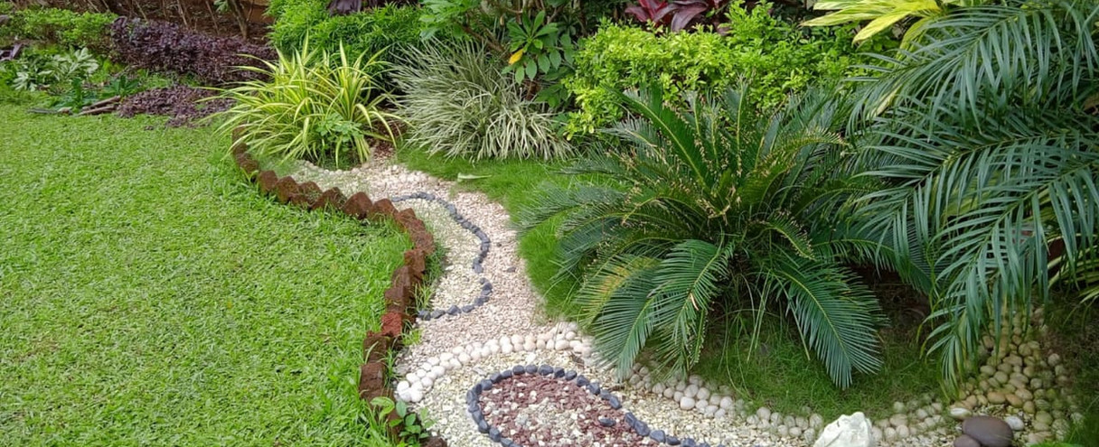 Landscapes | Dryscapes | Microscapes | PlantScape India