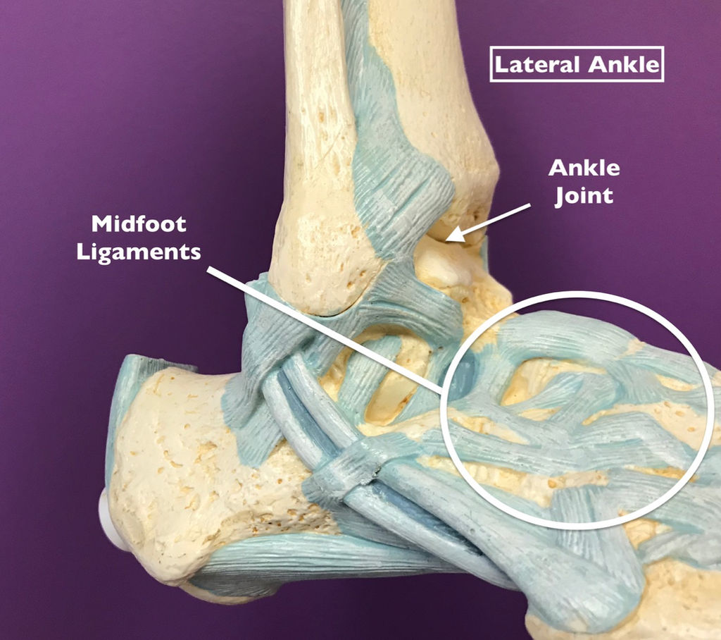 Foot and Ankle Injuries | The Injury Source